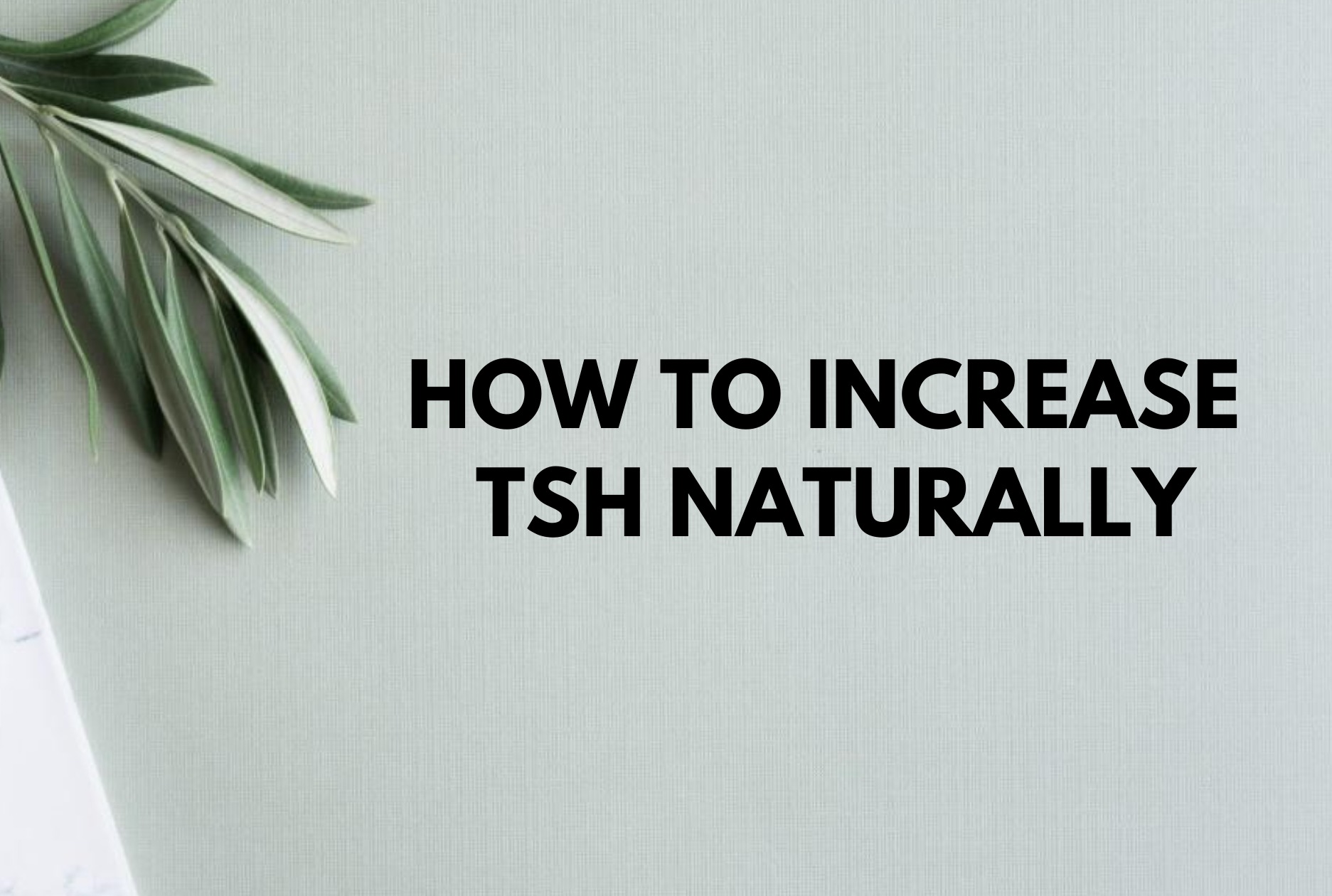 The Best Hypothyroid Supplements for Thyroid Support