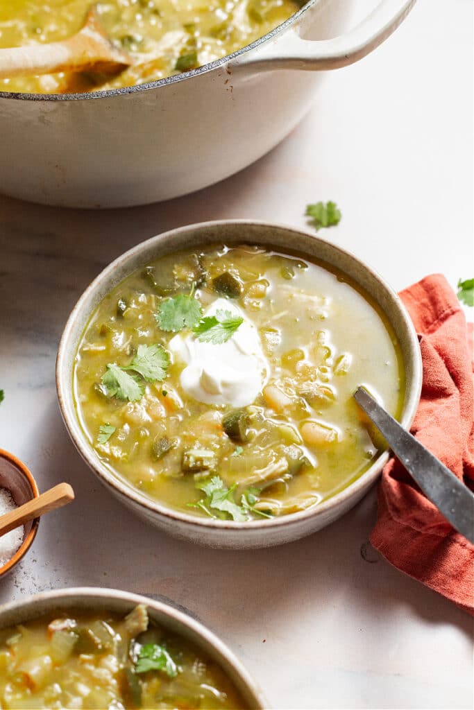 Green Chili Chicken Stew - Deliciously Organic - Carrie Korem, FNTP