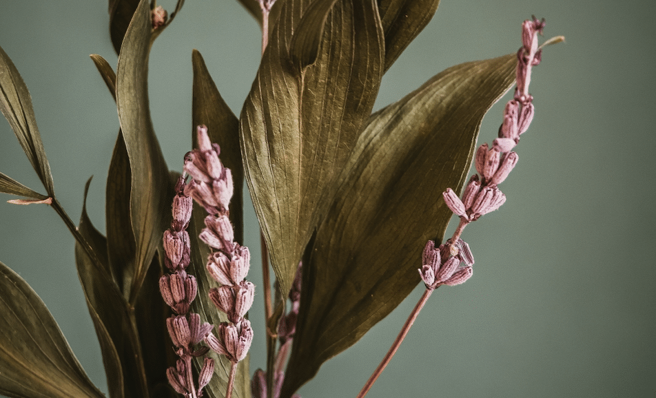 How to Reduce Thyroid Goiter Naturally